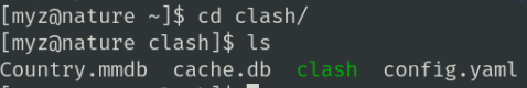 linux terminal clash